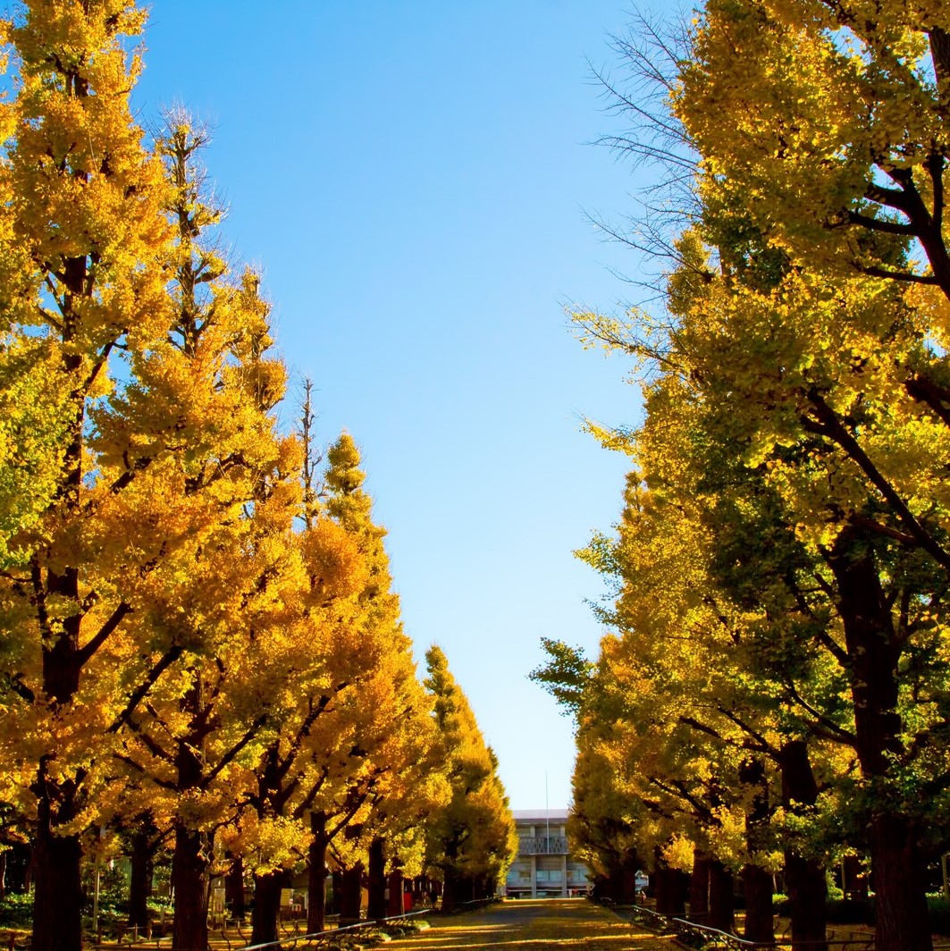 Daichiのポートフォリオサイト